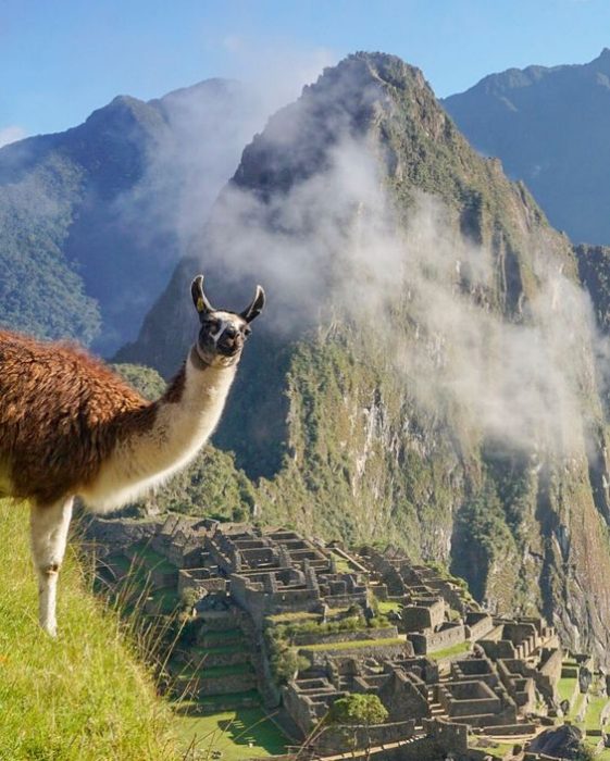 Home - World Explorers Club